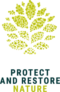 Roadmap 2023 - The Earthshot Prize